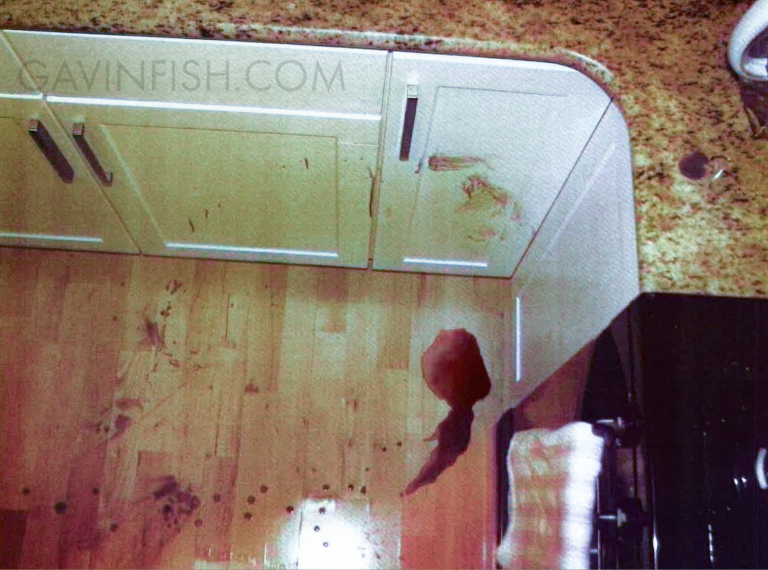 146. The Death of Ellen Greenberg Part 1 of 4 — Little Locked Room ...